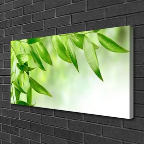 Obraz na plátně Zelené Listy Příroda 140x70 cm