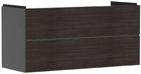 Hansgrohe Xevolos E - Umyvadlová skříňka 118x58x48 cm, 2 zásuvky, matná šedá/tmavý dub 54186730