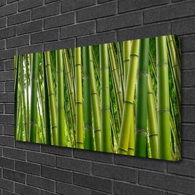 Obraz na plátně Bambusový Les Bambusové Výhonky 125x50 cm