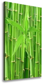 Wallmuralia Vertikální Foto obraz na plátně Bambusový les 50x100