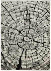 Koberce Breno Kusový koberec PHOENIX 6021 - 0244, Hnědá, Vícebarevné, 160 x 230 cm