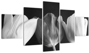 Obraz - Černobílé květy tulipánů (125x70 cm)
