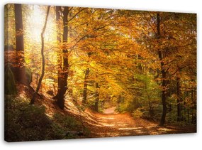 Obraz na plátně Les Podzimní krajina Příroda - 90x60 cm