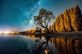 Fototapeta strom pod hvězdnou oblohou - 300x200 cm