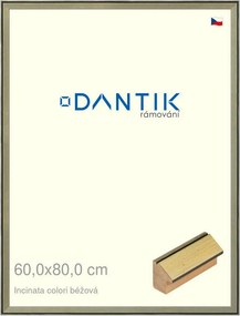 DANTIK rámeček 60x80 | INCLINATA colori béžová (Plexi Čiré)