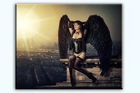 Malvis ® Temný anděl Velikost (šířka x výška): 25x20 cm