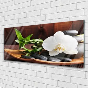 Plexisklo-obraz Kameny Zen Bílá Orchidej 125x50 cm
