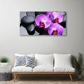 Obraz na plátně Květ Kameny 120x60 cm