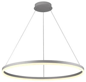 Brilagi -LED Stmívatelný lustr na lanku CIRCLE LED/55W/230V 3000-6500K stříb.+DO