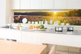 DIMEX | Fototapeta do kuchyně Sluneční paprsky nad loukou KI-350-201 | 350 x 60 cm | žlutá, zelená, fialová