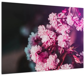 Skleněný obraz květů stromu (70x50 cm)