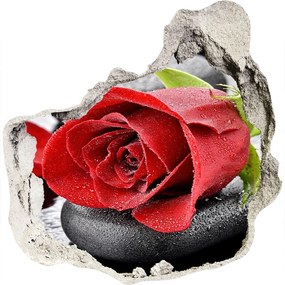 Wallmuralia Samolepící díra na stěnu Červená růže 75x75 cm