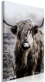 Obraz - Kráva z Vysočiny - sépie 60x90