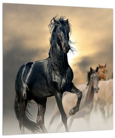 Obraz koně (30x30 cm)