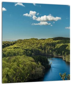 Obraz - Jezero v lesích (30x30 cm)