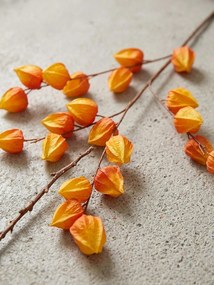 Sinsay - Podzimní dekorativní větvička - oranžová