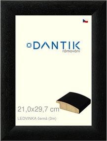 DANTIK rámeček 21x29,7 | LEDVINKA černá (Sklo Čiré)