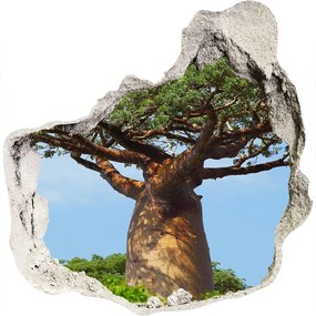 Wallmuralia Samolepící díra na stěnu nálepka Baobab 75x75 cm