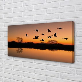Obrazy na plátně Létající ptáky sunset 125x50 cm