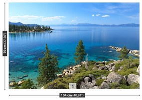 Fototapeta Jezero Tahoe 104x70