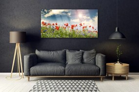 akrylový obraz Louka Květiny Slunce Příroda 120x60 cm