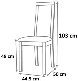 Jídelní židle BONA NEW Tempo Kondela