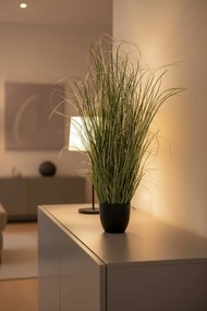 Umělá tráva v černém květináči GREVY, výška 85 cm, plast, zelená