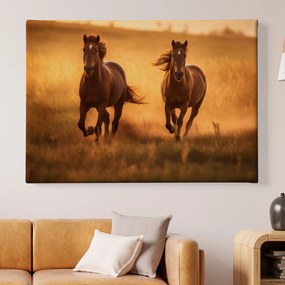 Obraz na plátně - Dva hnědí koně se prohánějí krajinou FeelHappy.cz Velikost obrazu: 90 x 60 cm