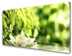 Obraz na skle Květ Listy 125x50 cm