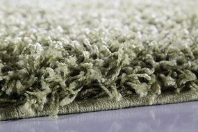 Vopi | Kusový koberec Dream Shaggy 4000 green - 60 x 110 cm