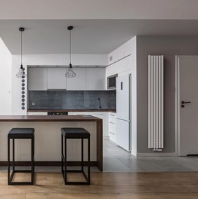 Regnis LUXAR, topné těleso 290x1000mm se středovým připojením 50mm, 438W, bílá matná (RAL 9003), LUXAR100/29/D50/WHITE