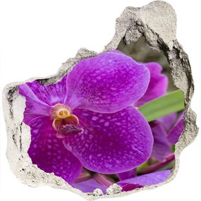 Wallmuralia Samolepící díra nálepka Orchidej 75x75 cm