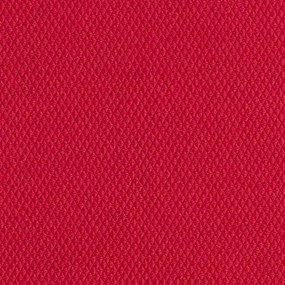SCANquilt utěrka BRILANT  červená 50 x 70 cm