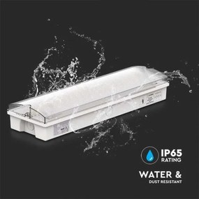 LED Nouzové svítidlo EMERGENCY EXIT LED/3W/230V 6400K IP65
