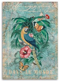 Gario Obraz na plátně Papoušek a motýli - Andrea Haase Rozměry: 40 x 60 cm