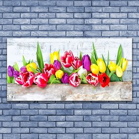 Plexisklo-obraz Tulipány Květiny Příroda 120x60 cm