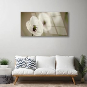 Obraz na skle Květ Rostlina Příroda 120x60 cm