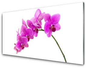 Obraz na skle Vstavač Květ Orchidej 125x50 cm