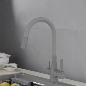 Invena Magic, stojánková dřezová baterie s flexibilním ramenem a filtrem na pitnou vodu, šedá matná, INV-BZ-02-F05-V