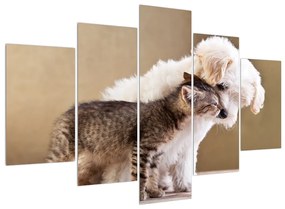 Obraz kočky se psem (150x105 cm)