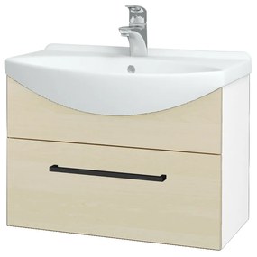 Dřevojas Koupelnová skříň TAKE IT SZZ 65 Varianta: N01 Bílá lesk / Úchytka T01 / N08 Cosmo