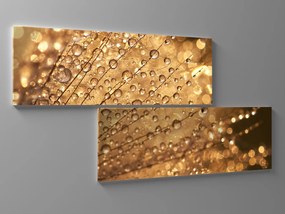 Liox Obraz zlaté kapky rosy Rozměr: 180 x 90 cm