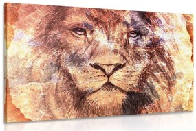 Obraz tvář lva - 90x60 cm