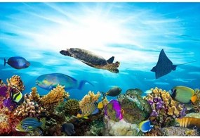 DIMEX | Samolepicí vliesová fototapeta na zeď Ryby v oceánu MA-5-0216 | 375 x 250 cm | vícebarevná, modrá