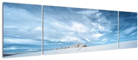 Obraz pole (170x50 cm)