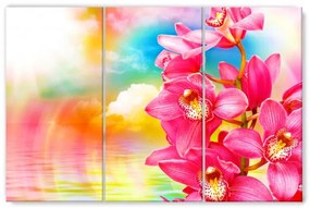 Malvis ® Vícedílný obraz - Orchidej Velikost: 90x60 cm