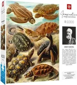 GOOD LOOT Puzzle Imagination: Ernst Haeckel - Mořské želvy / 1000 dílk