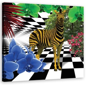 Obraz na plátně, Barevná zvířata přírody Zebra - 50x50 cm