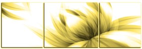 Obraz na plátně - Elegantní květ - panoráma 5147ZC (90x30 cm)