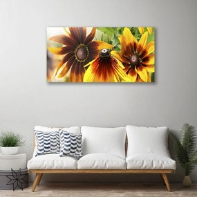 Obraz na plátně Květiny Rostlina 100x50 cm